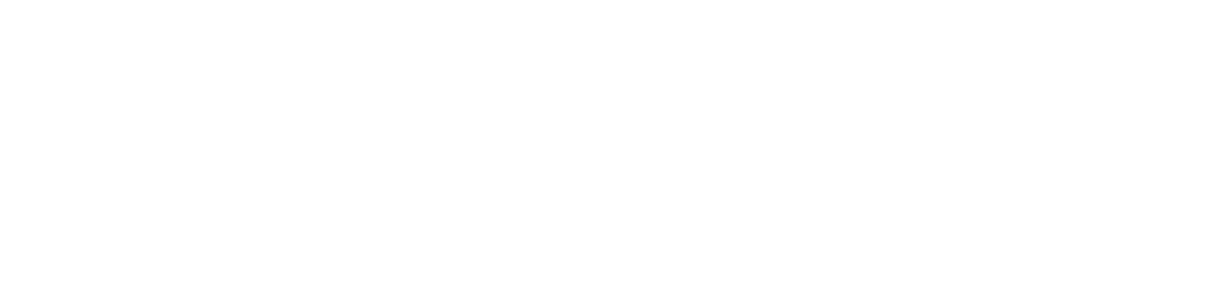 Elect Leslie Mehta for VA House District 73
